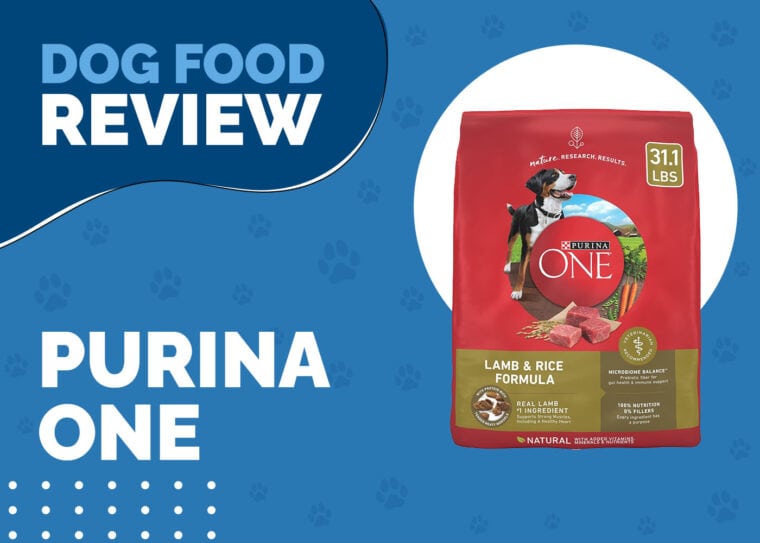 Purina One Lamb and Rice Dog Food Review 2026: Recalls, Pros & Cons ...