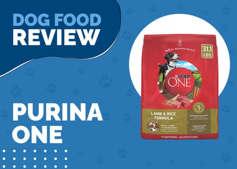 Purina One Lamb and Rice Dog Food Review 2026: Recalls, Pros & Cons ...