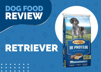Retriever Dog Food Review 2026: Recalls, Pros & Cons | Hepper Pet Resources