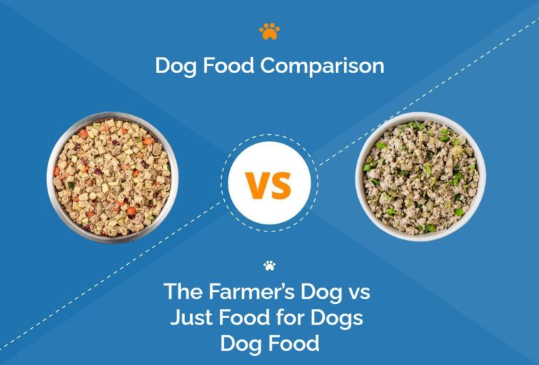 Small Breed vs Large Breed vs Regular Dog Food: Vet-Verified Facts ...