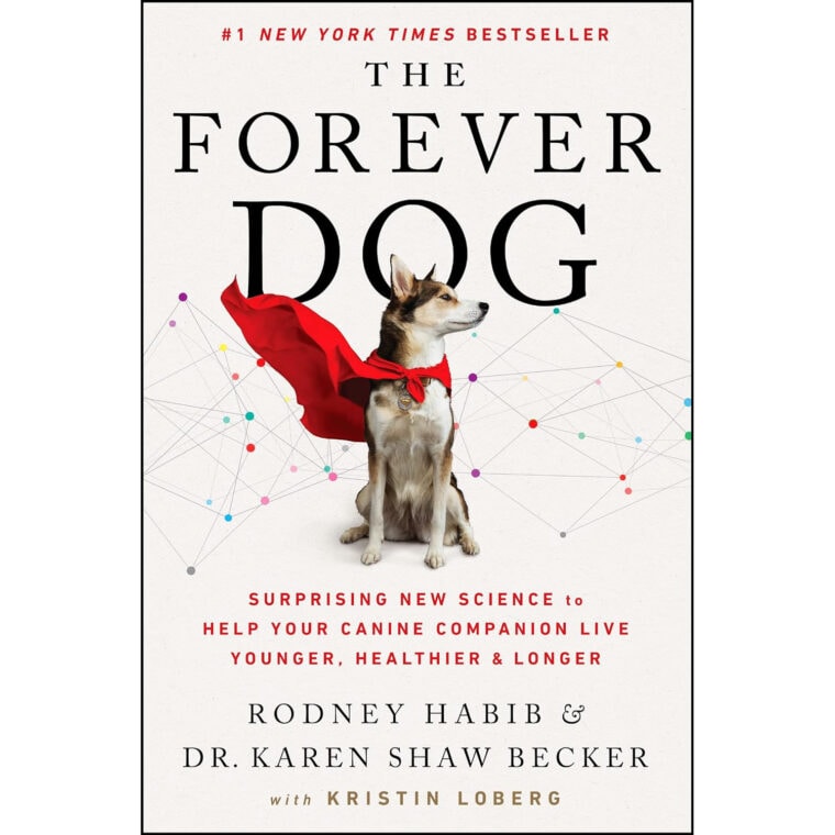 12 Best Books About Dogs - 2025 Reviews & Top Picks | Hepper Pet Resources