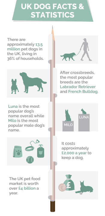 17 UK Dog Statistics & Facts to Know: 2025 Update | Hepper Pet Resources