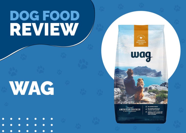 Wag Dog Food Review 2026: Recalls, Pros & Cons | Hepper Pet Resources
