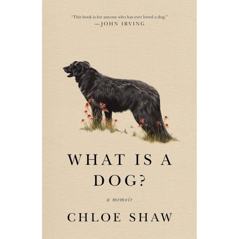 12 Best Books About Dogs - 2026 Reviews & Top Picks | Hepper Pet Resources