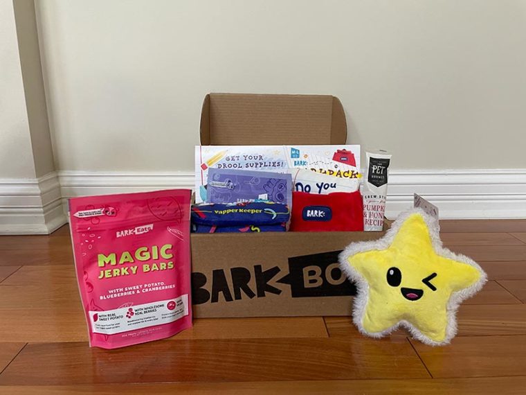BarkBox Dog Subscription Review 2025: An Expert Guide | Hepper Pet ...