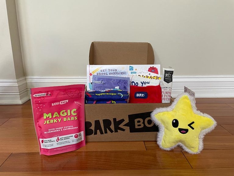 BarkBox Dog Subscription Review 2025: An Expert Guide | Hepper Pet ...