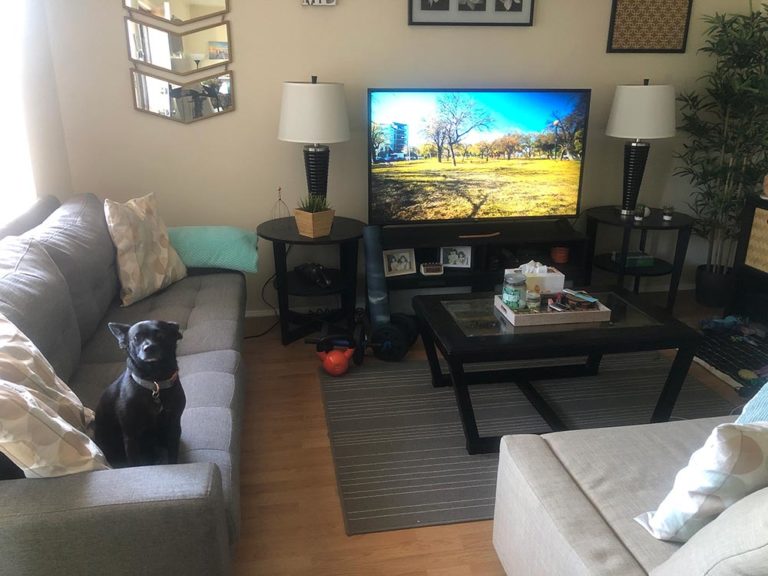 DOGTV Review 2025: An Expert Guide | Hepper Pet Resources