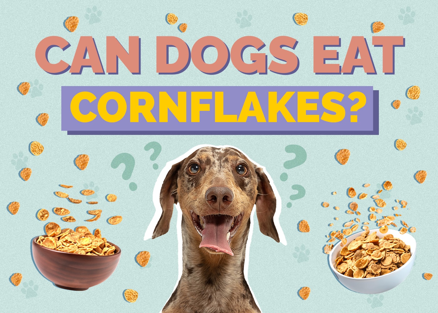 Can Dogs Eat Cornflakes? What You Need to Know! | Hepper Pet Resources