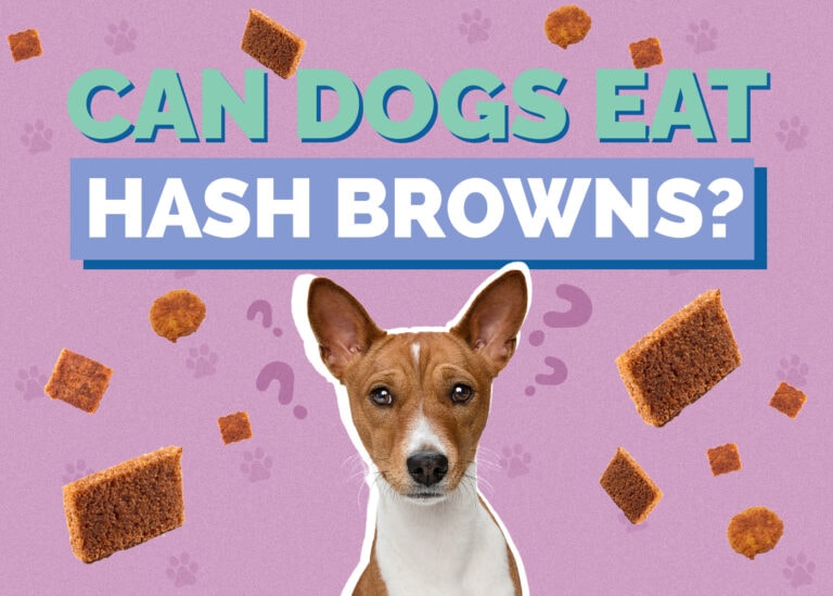 Can Dogs Eat Hash Browns? Vet Approved Fact & FAQs | Hepper Pet Resources