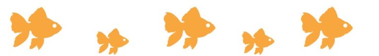 Do Goldfish Have Teeth? Vet-Reviewed Anatomy & Info | Hepper Pet Resources