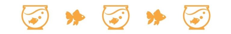 8 Aquarium Fish That Give Live Birth (Livebearers) | Hepper Pet Resources