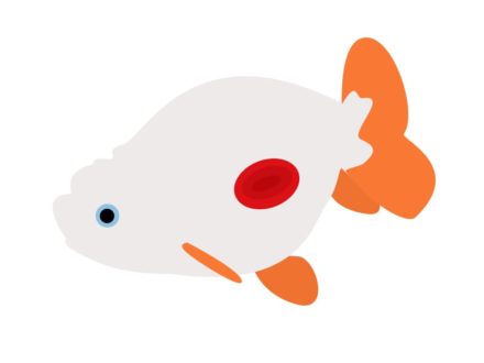 6 Common Goldfish Diseases: Our Vet Explains Treatment & Prevention ...