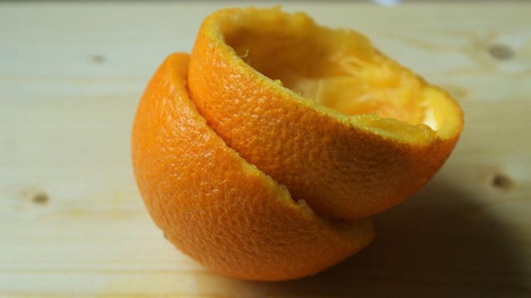 Do Orange Peels Keep Cats Away? Vet-Reviewed Pros, Cons & Alternatives ...