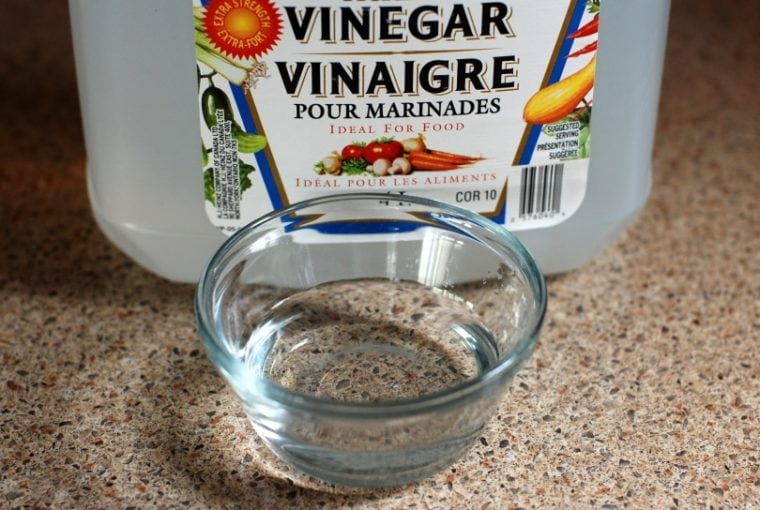 Can Dogs Have Vinegar? Our Vet Explains Health Risks & Benefits ...