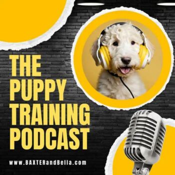 10 Best Dog Training Podcasts: 2026 Reviews & Top Picks | Hepper Pet ...