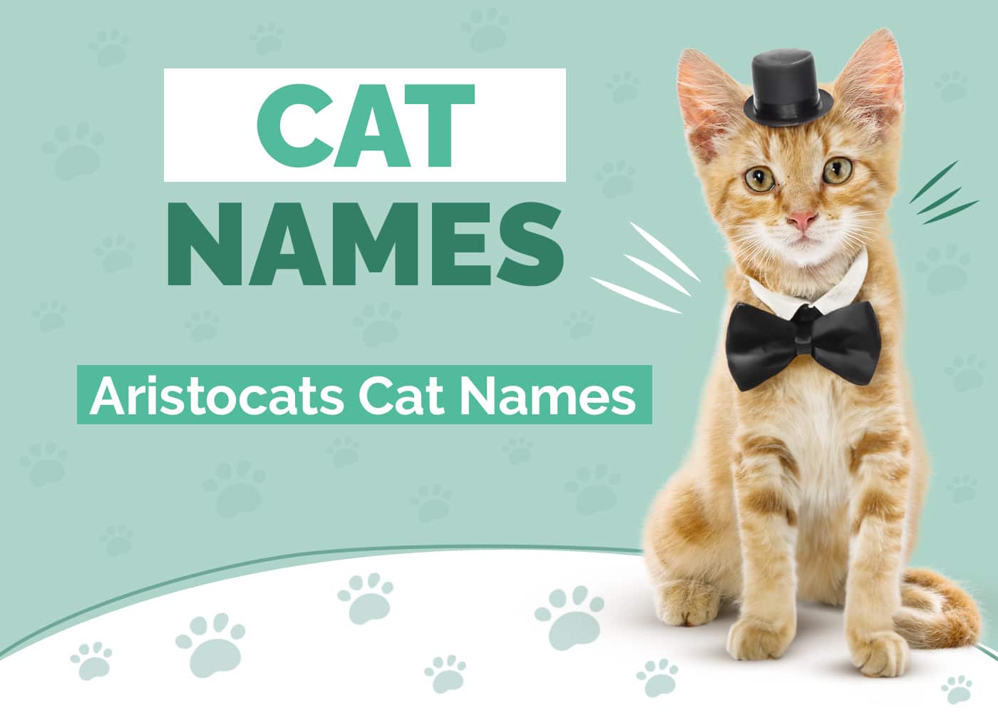115+ Cat Names From The Aristocats for Male & Female Kitties | Hepper ...