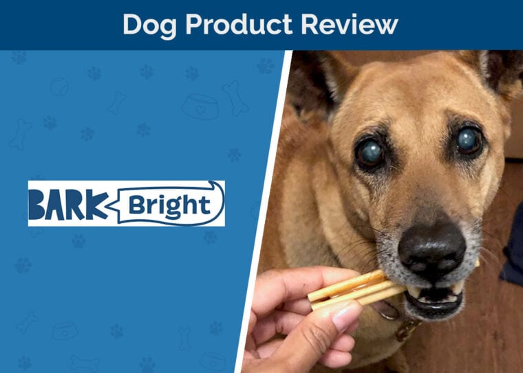 BARK Bright Dental Review 2025: An Expert Guide | Hepper Pet Resources
