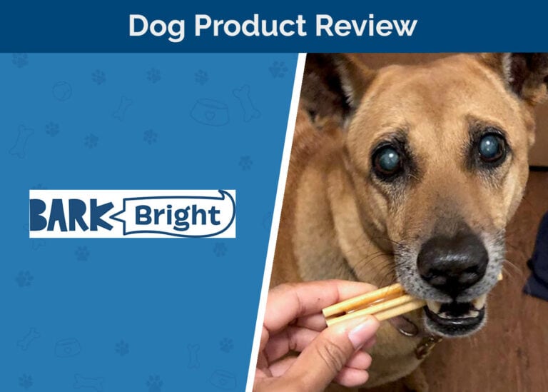 BARK Bright Dental Review 2025: An Expert Guide | Hepper Pet Resources