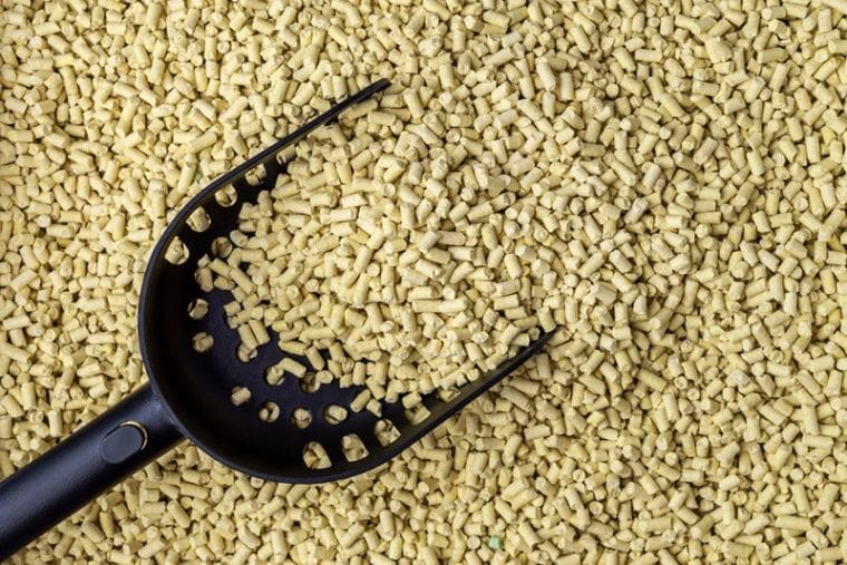 7 Best Corn Cat Litters in 2025 - Reviews & Top Picks | Hepper Pet ...