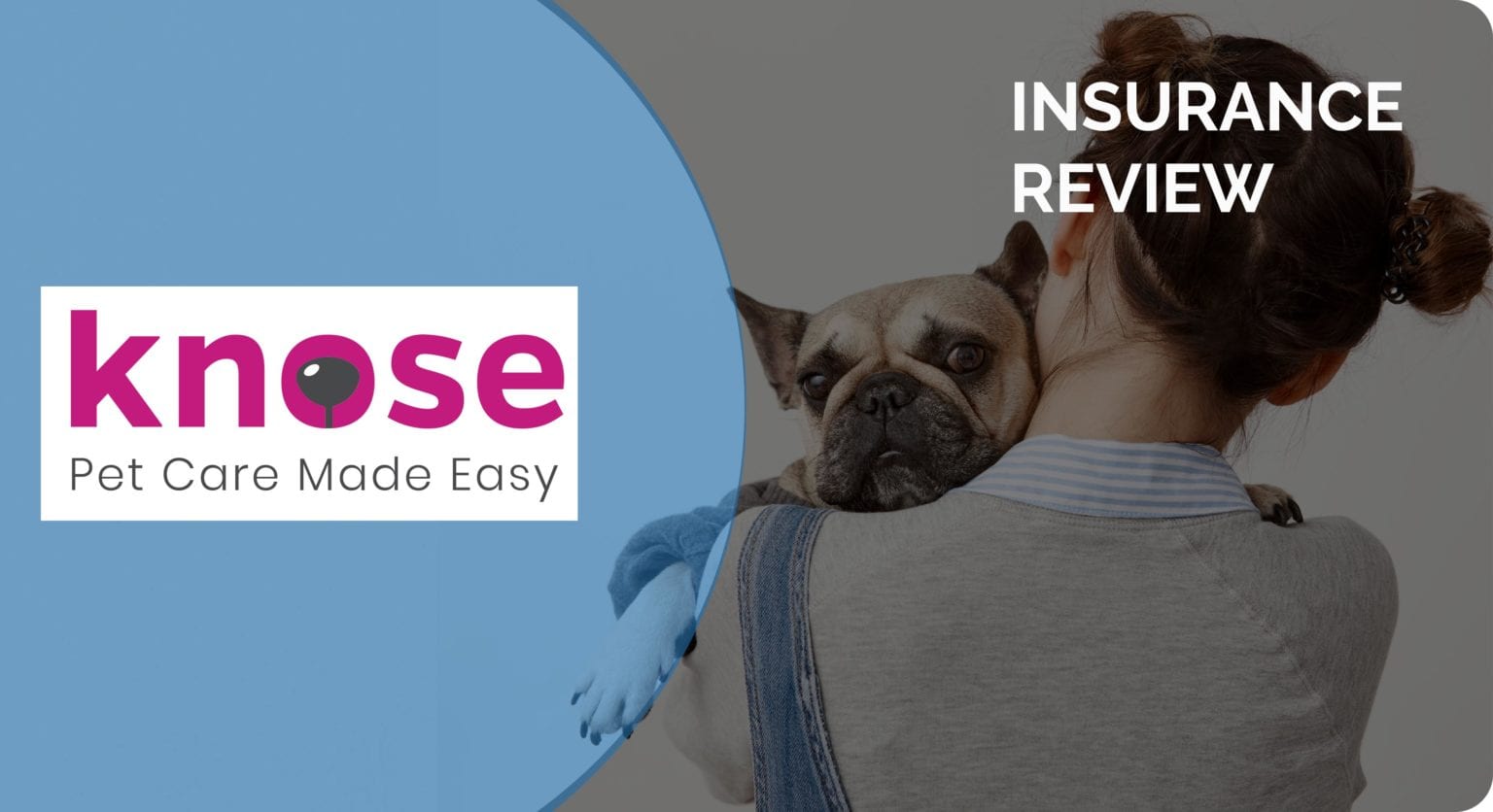 10 Best Pet Insurance Providers in Rhode Island – 2026 Reviews | Hepper ...