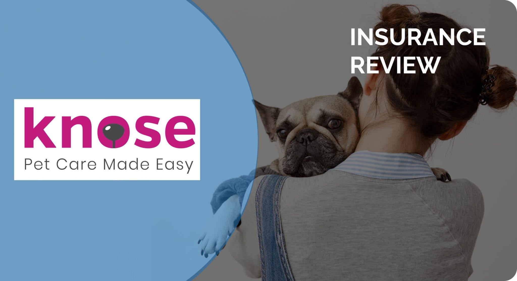 10 Best Pet Insurance Providers in the UK - 2026 Reviews | Hepper Pet ...