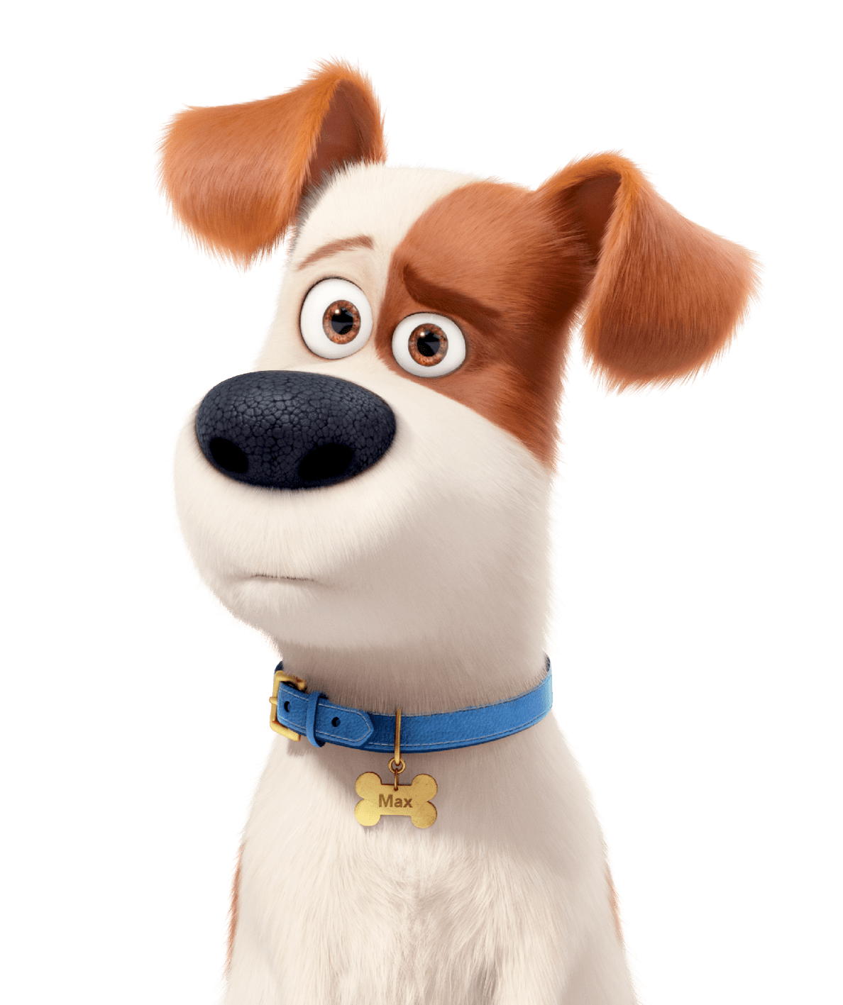 What Kind of Dog is Max from The Secret Life of Pets? Facts ...