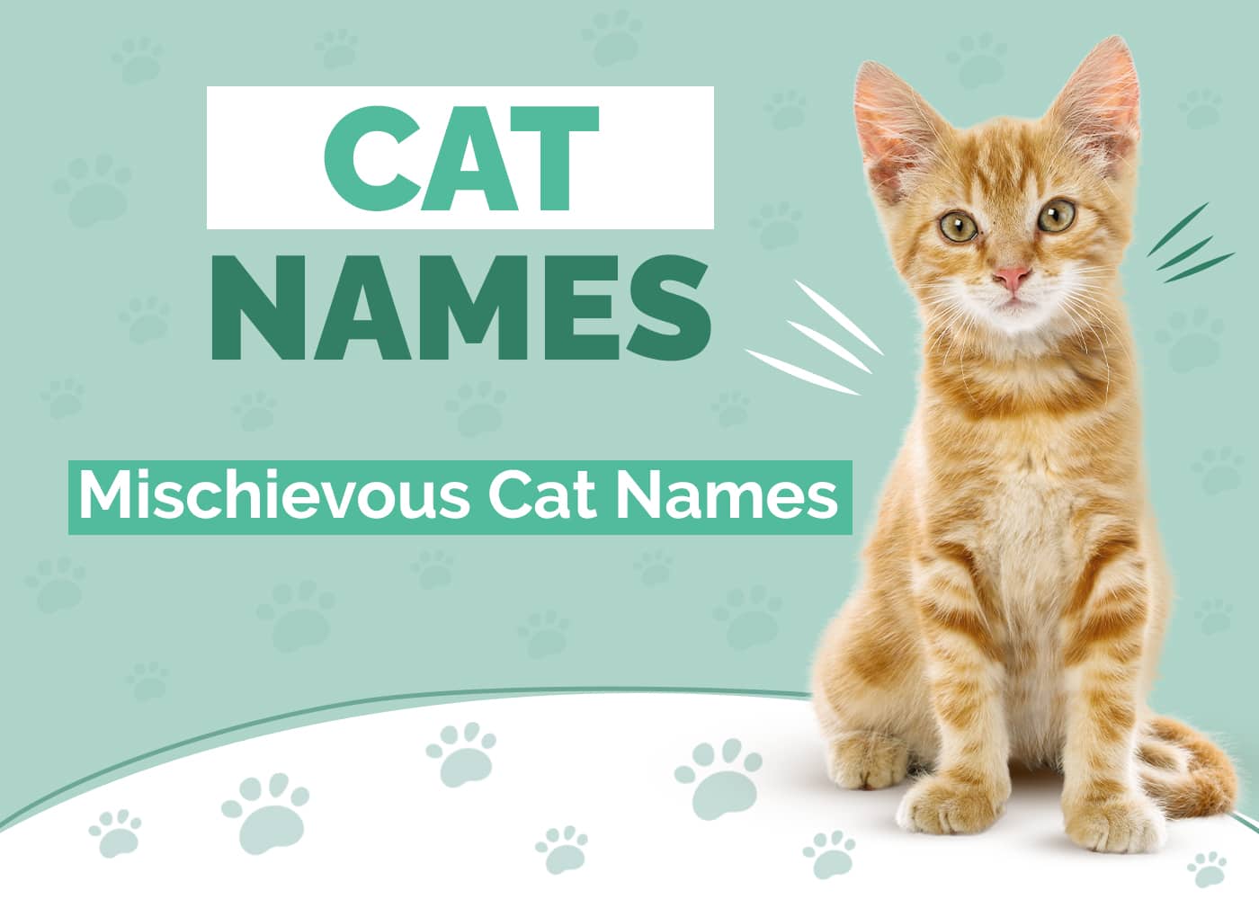 100 Mischievous Cat Names: Our Top Picks for Your Clever & Sassy Cat ...