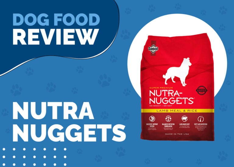 Nutra-Nuggets Dog Food Review 2025: Recalls, Pros & Cons | Hepper Pet ...