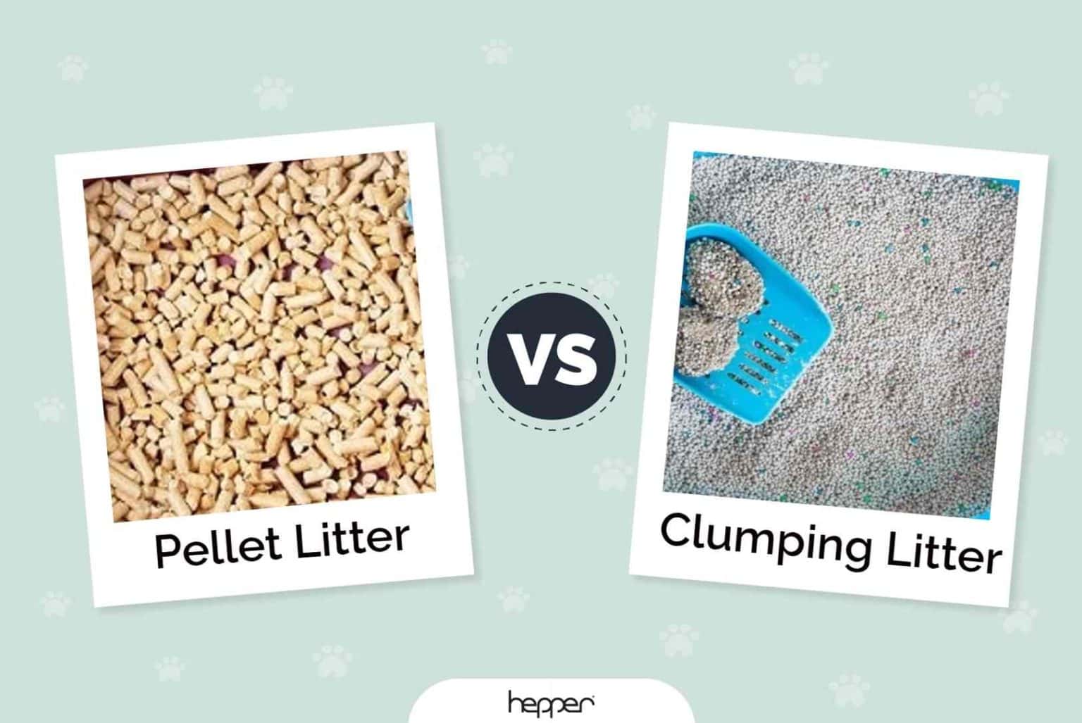 Pellet Litter vs. Clumping Litter: Which Is Better for My Cat? | Hepper ...