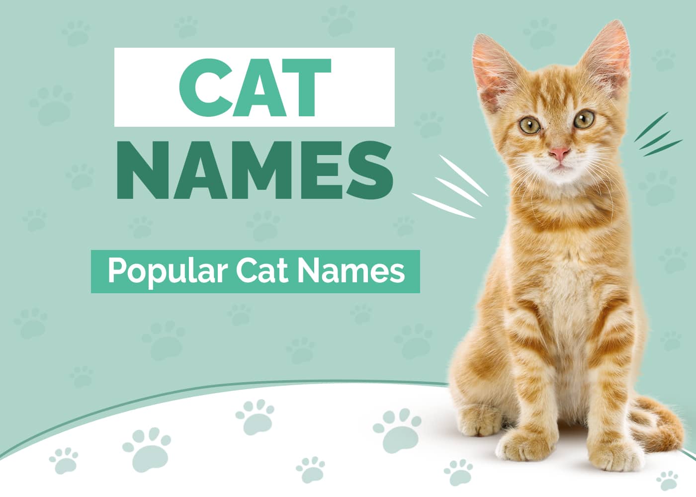 175+ Popular Cat Names: Ideas for Distinguished & Admired Felines ...