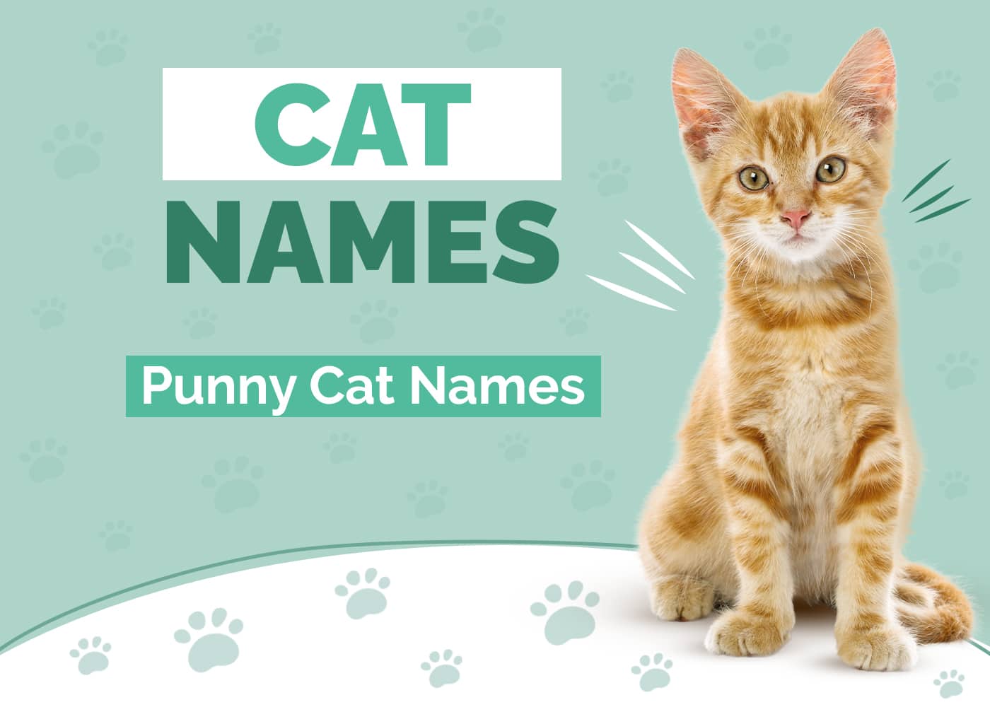 150+ Punny Cat Names: Our Top Picks for Your Furr-tastic Cat | Hepper ...