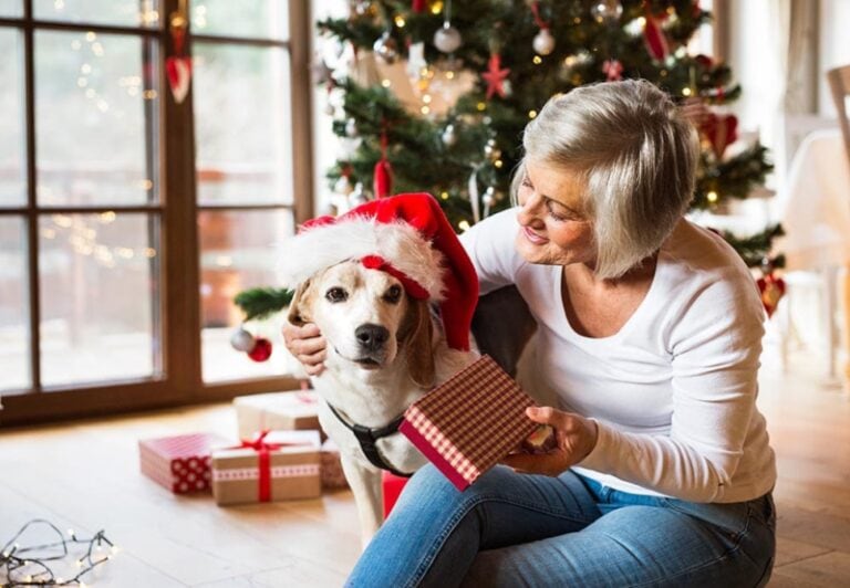 18 DIY Christmas Gifts for Dogs and Dog Lovers (with Instructions ...