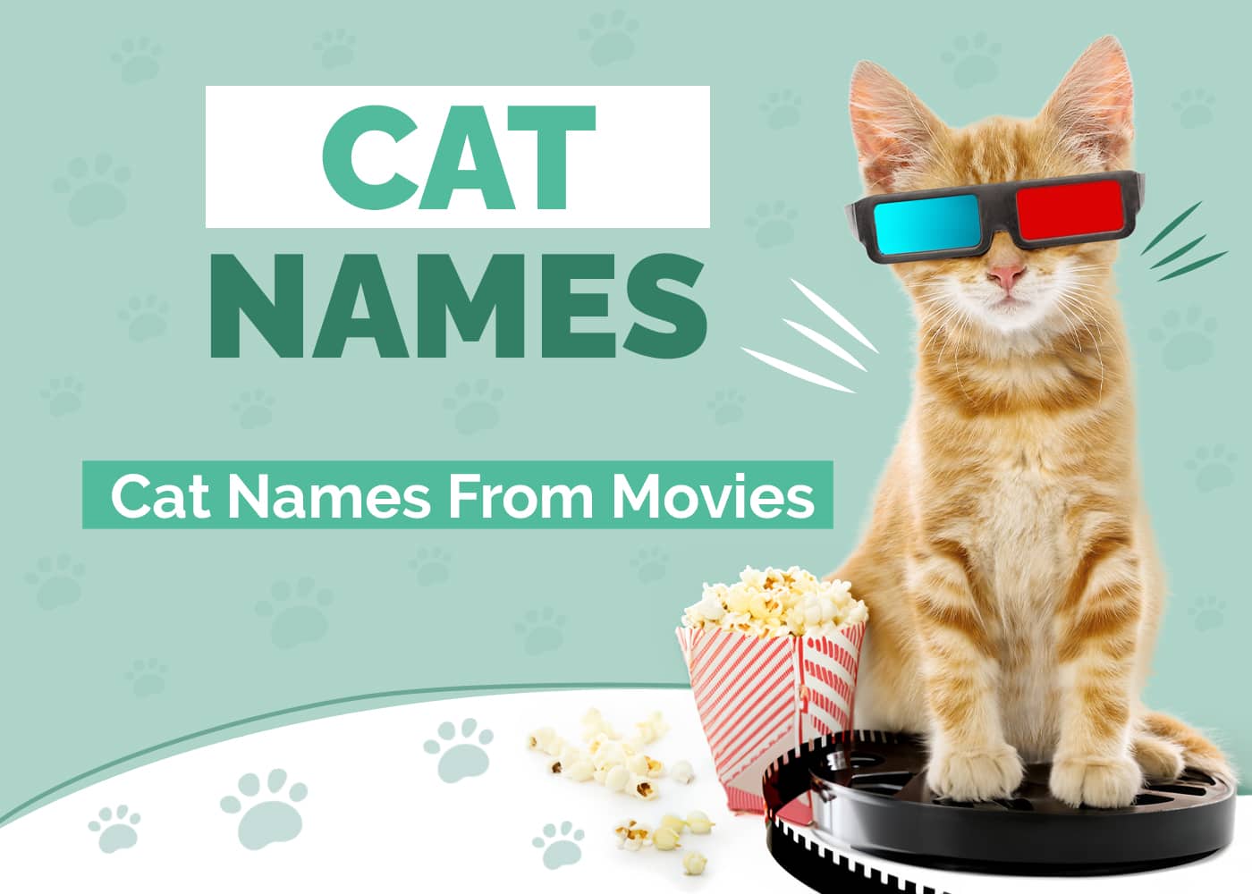 100 Cat Names from Movies: Fun Options For Your Superstar Pet | Hepper ...