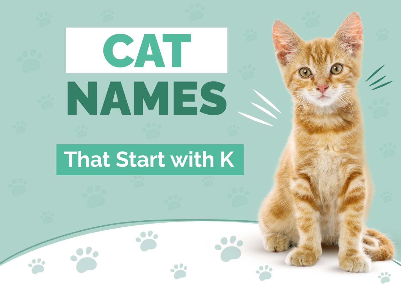 320+ Cat Names That Start With K for Your Kitty | Hepper Pet Resources