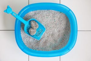 How to Dispose of Cat Litter: 5 Easy & Effective Options | Hepper Pet ...