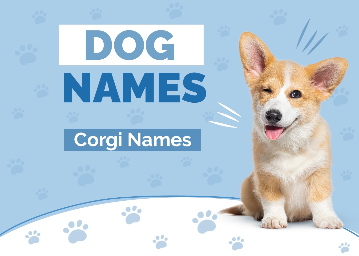 150+ Best Names for Corgis: Ideas For Short & Adorable Dogs | Hepper ...