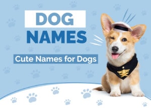 500+ Cute Names for Dogs: Ideas for Adorable Pups | Hepper Pet Resources