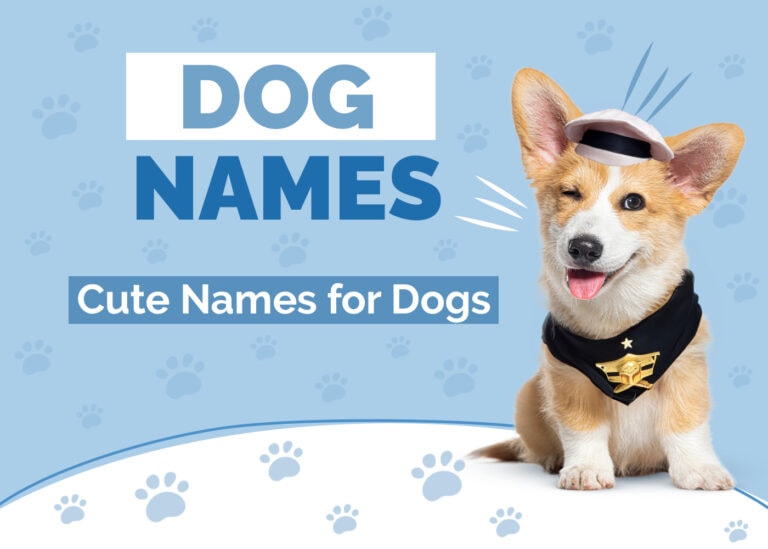 500+ Cute Names for Dogs: Ideas for Adorable Pups | Hepper Pet Resources