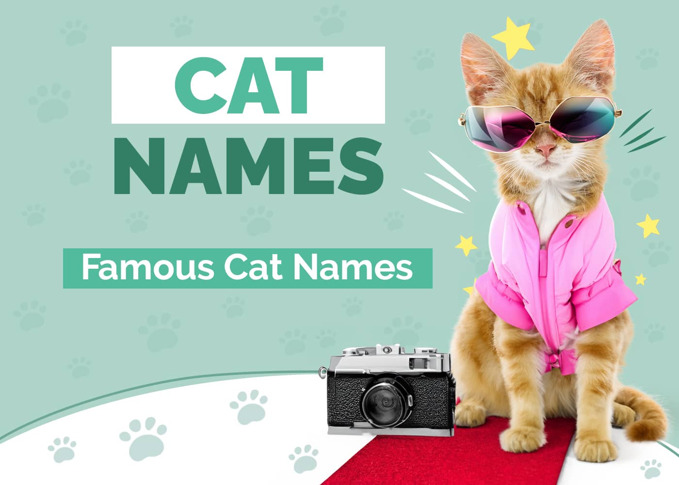 125 Famous Cat Names: Our Top Picks for Your Popular Cat | Hepper Pet ...