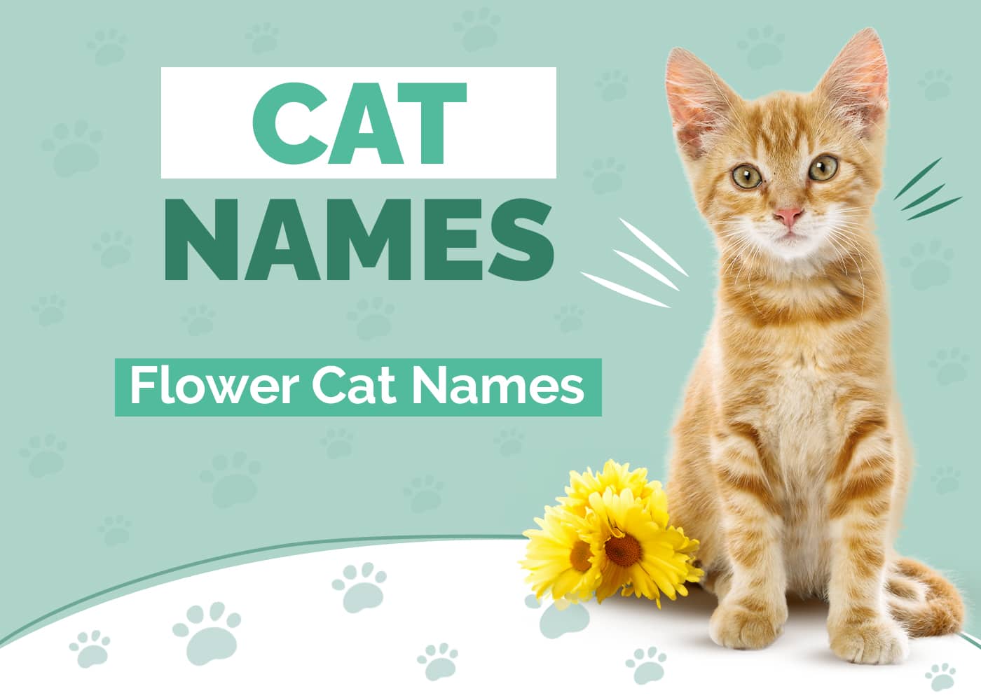110 Flower Names for Cats: Our Top Picks for Your Charming Cat | Hepper ...