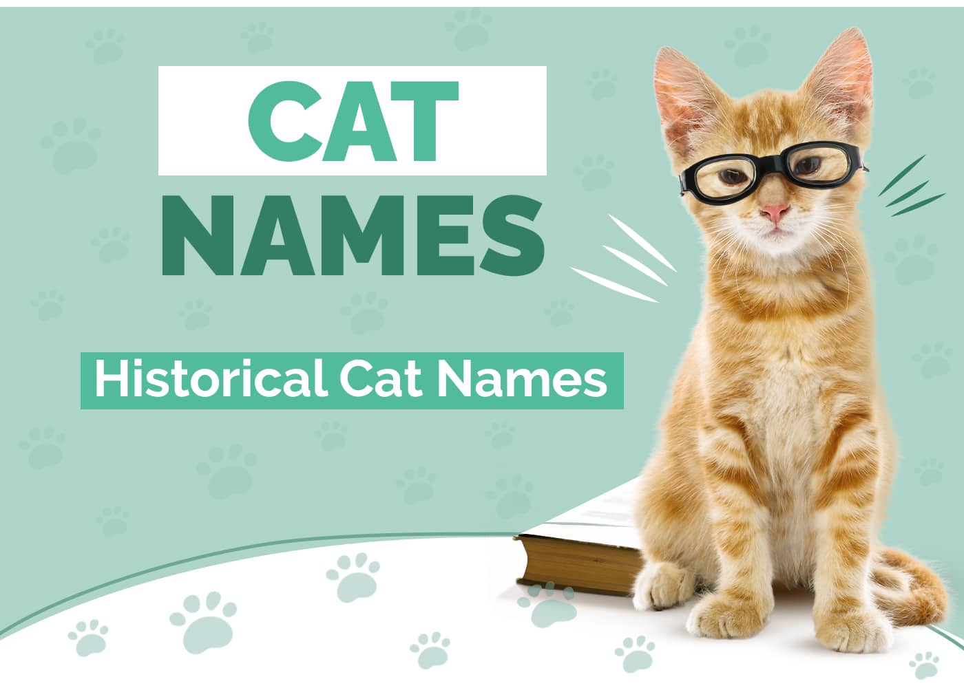 150+ Historical Cat Names: Male & Female Choices | Hepper Pet Resources