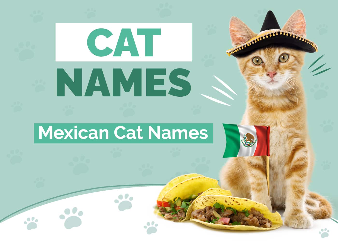 200 Mexican Cat Names: Our Top Picks For Your Cat (With Meanings ...