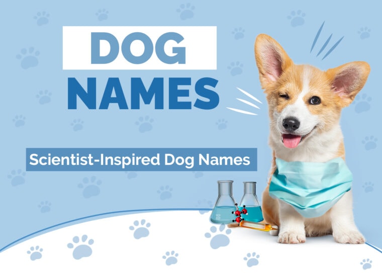 100+ Scientist-Inspired Dog Names: Smart & Sophisitcated Ideas | Hepper ...