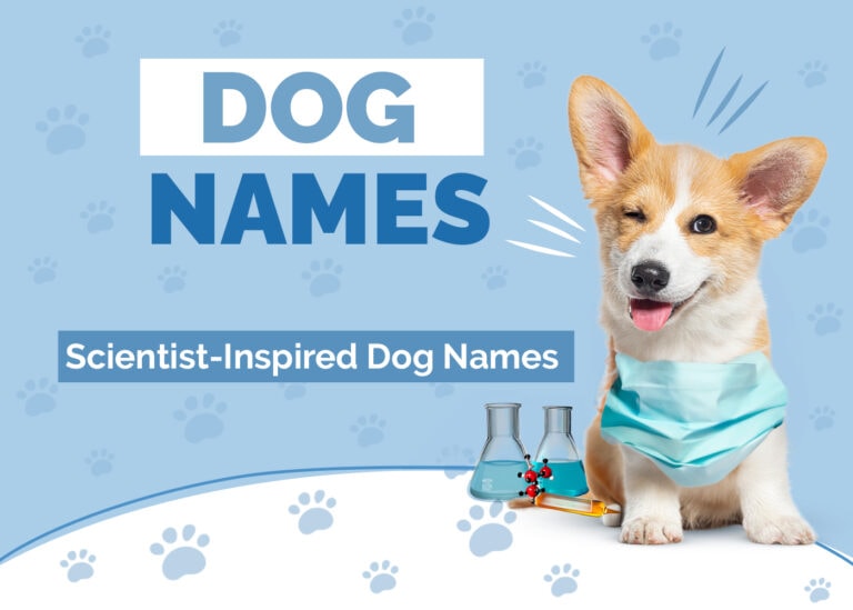 100+ Scientist-Inspired Dog Names: Smart & Sophisitcated Ideas | Hepper ...