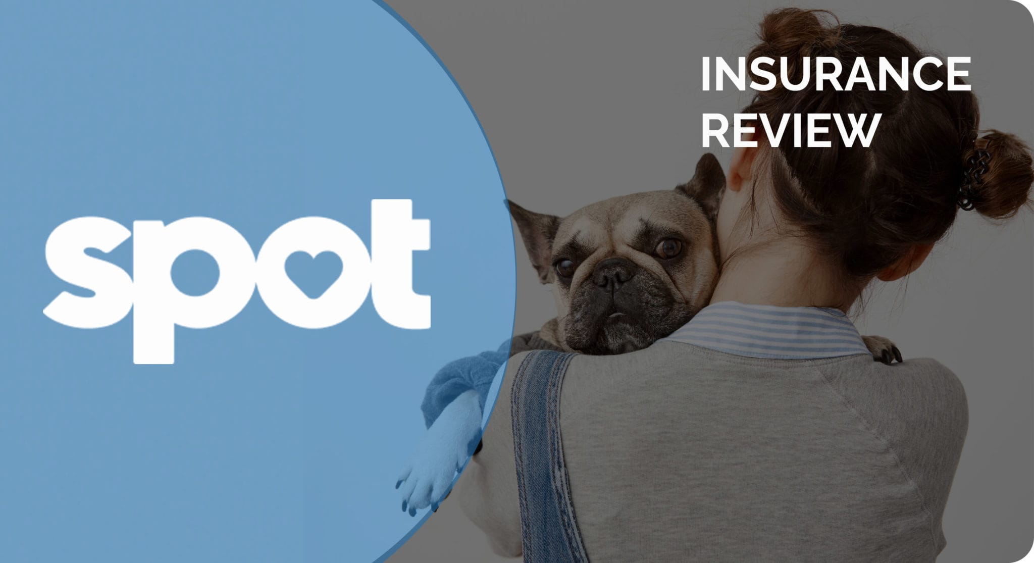 Spot Pet Insurance Review 2025: Pricing, Coverage & FAQ | Hepper Pet ...