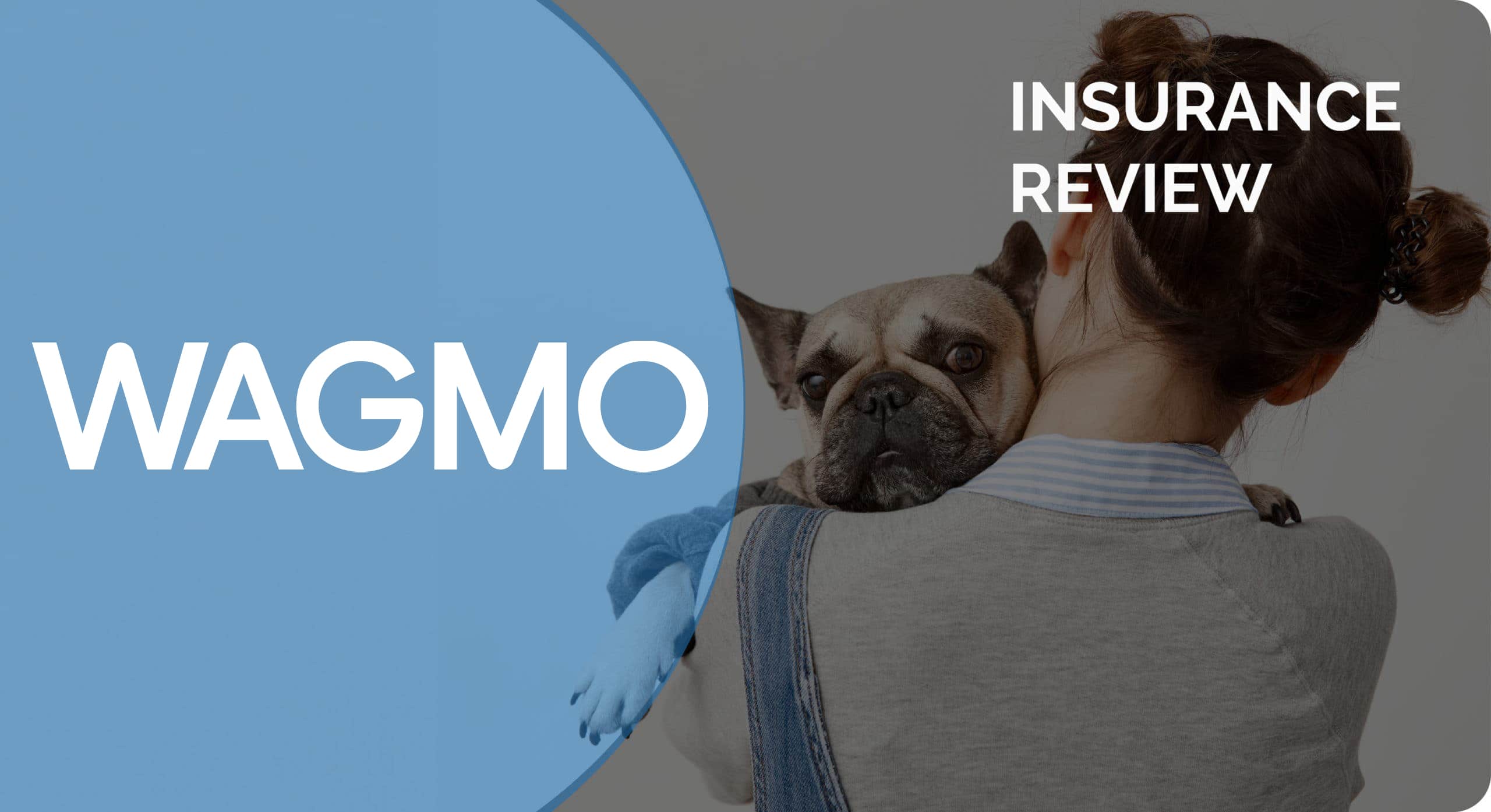 Wagmo Pet Insurance Review 2025: Pros, Cons & Verdict | Hepper Pet ...