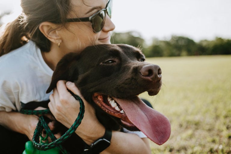 19 Surprising Pet Sitting Statistics Trends 2025 Update Hepper 19-surprising-pet-sitting-statistics-trends-2025-update-hepper
