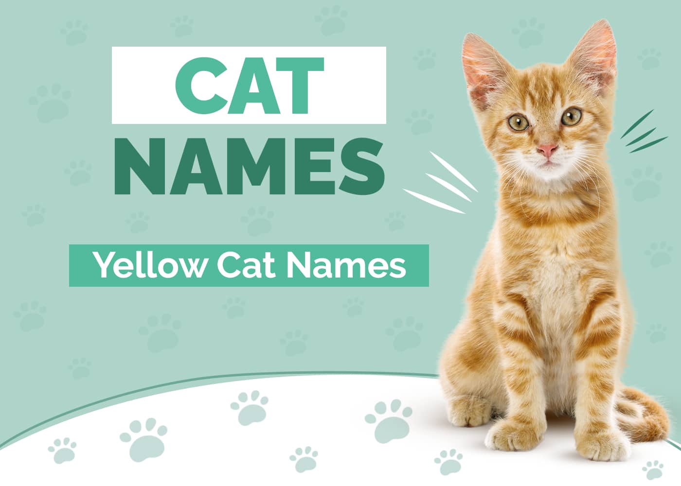200+ Yellow Cat Names: Our Top Picks for Your Bright & Bold Feline ...