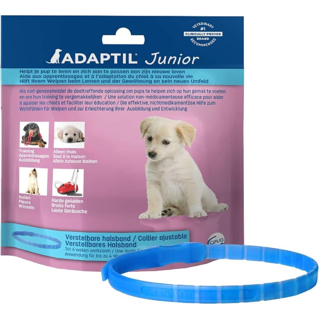 8 Best Calming Collars for Dogs - 2025 Reviews and Top Picks | Hepper ...