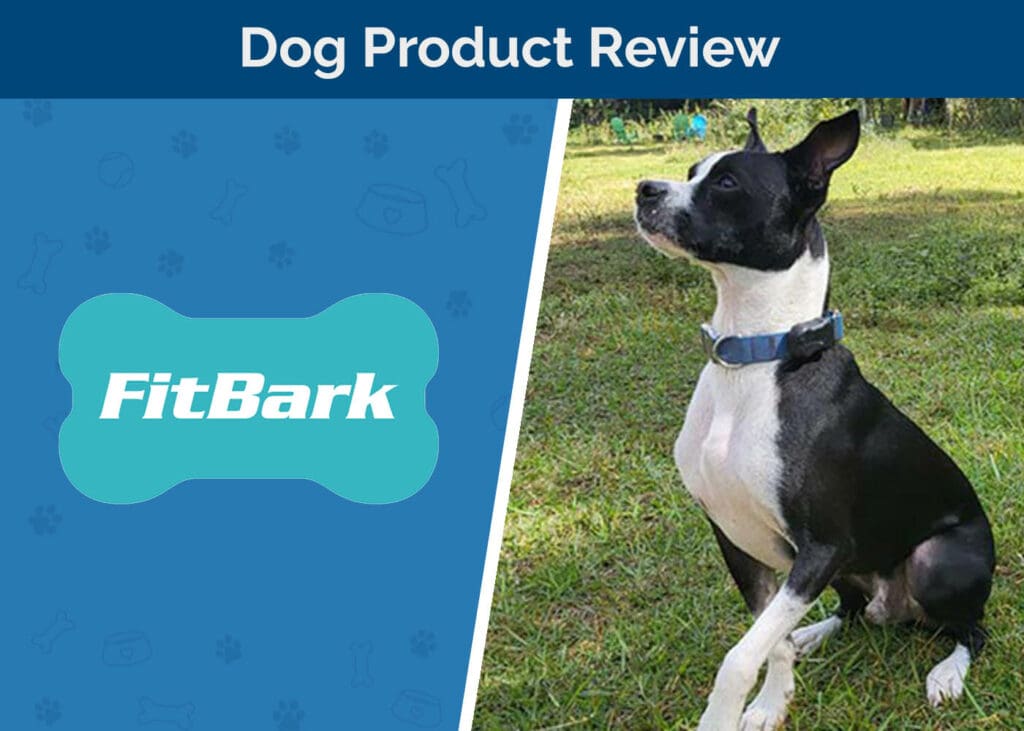 Fitbark Dog GPS Tracker Review 2026: An Expert Guide | Hepper Pet Resources
